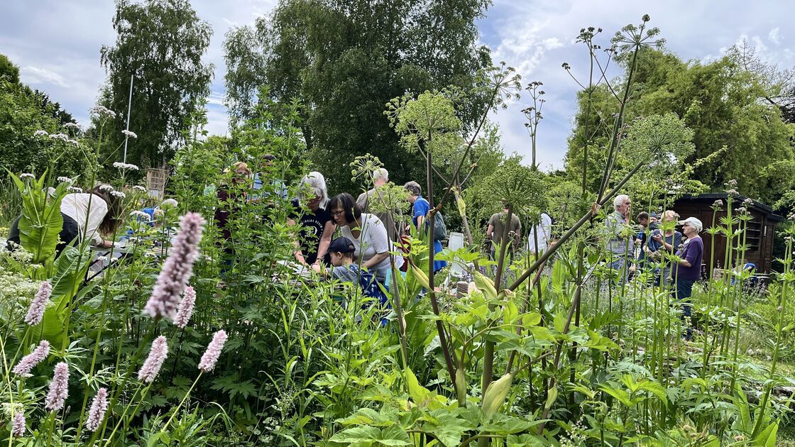 So schön sieht Artenschutz aus: Ehrentag im Naturgarten des ...