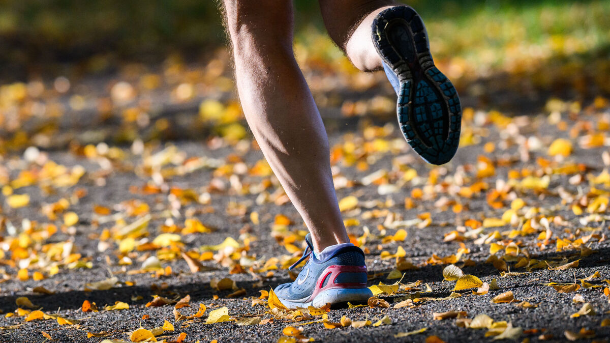 Tipps vom Cuxhavener Fitnesstrainer: So kommen Sie fit durch die dunkle Jahreszeit | CNV Medien