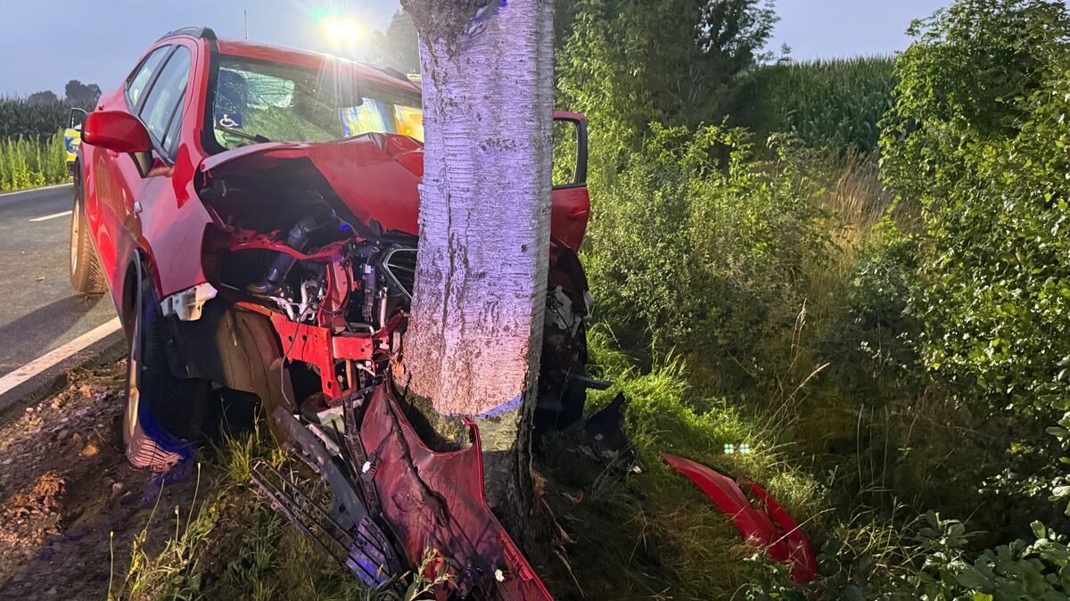 Tödlicher Unfall im Kreis Stade: Autofahrer (83) stirbt bei Baum-Kollision | CNV Medien