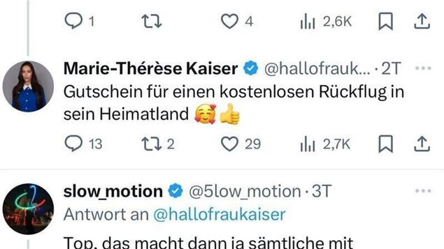 Nach Angriff in Hamburg: AfD-Kandidatin aus Stader Wahlkreis will ...