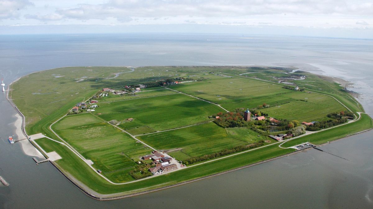 Insel für Naturliebhaber: Auf Neuwerk sollen neue Häuser gebaut werden ...