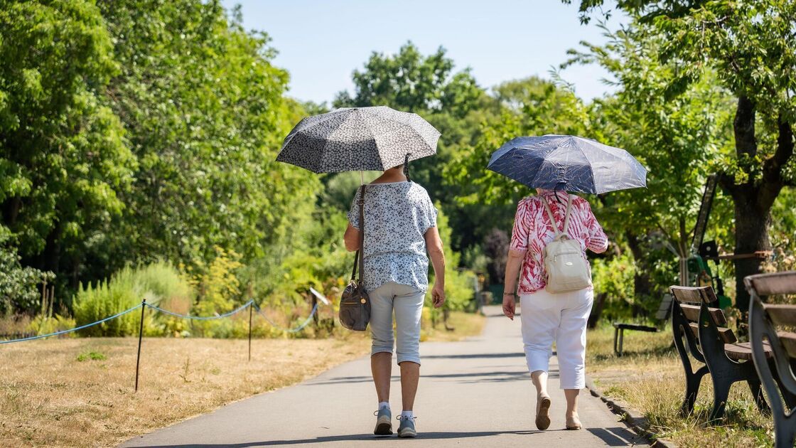 Sommer im Kreis Cuxhaven: Der richtige Hitze-Schutz - so bleiben Sie fit und gesund | CNV Medien
