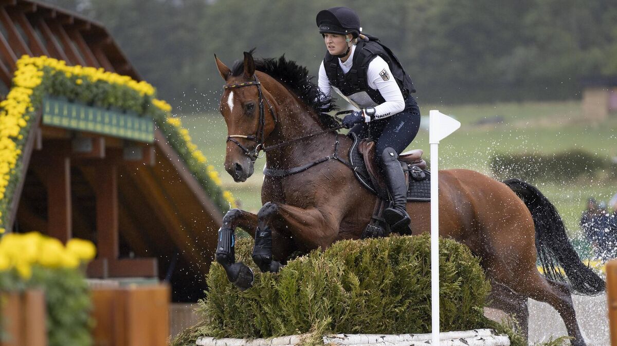Reittalent aus der Wingst zeigt Top-Leistung beim CHIO-Debüt in Aachen ...