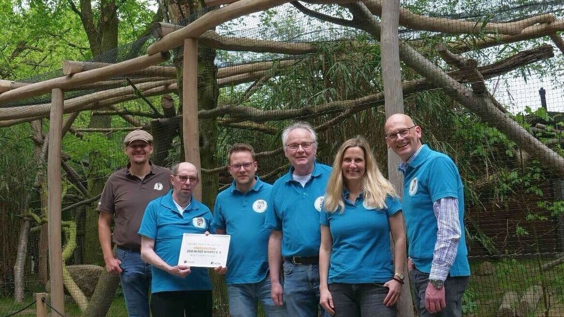 In neuem Zoo-Gehege in Wingst sollen seltene Katzen gezüchtet werden ...