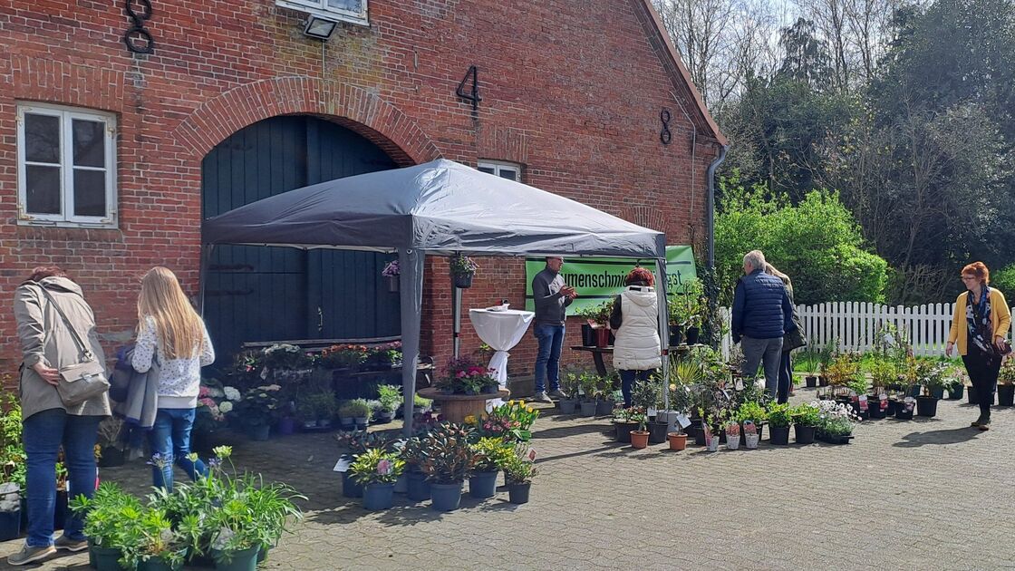 Familienfreundlicher Frühlingsmarkt in Lamstedt | CNV Medien